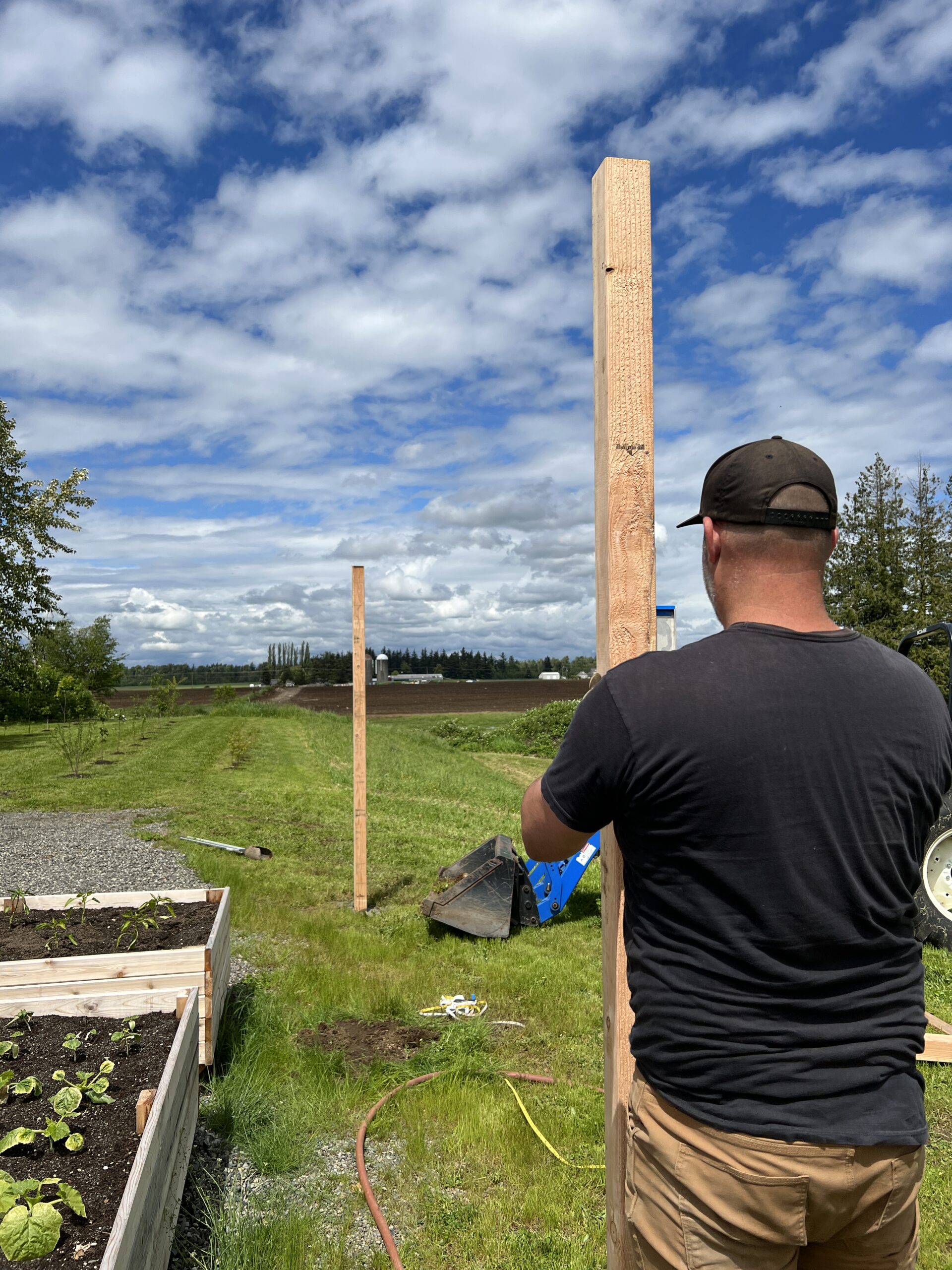 DIY Grape Arbor Trellis