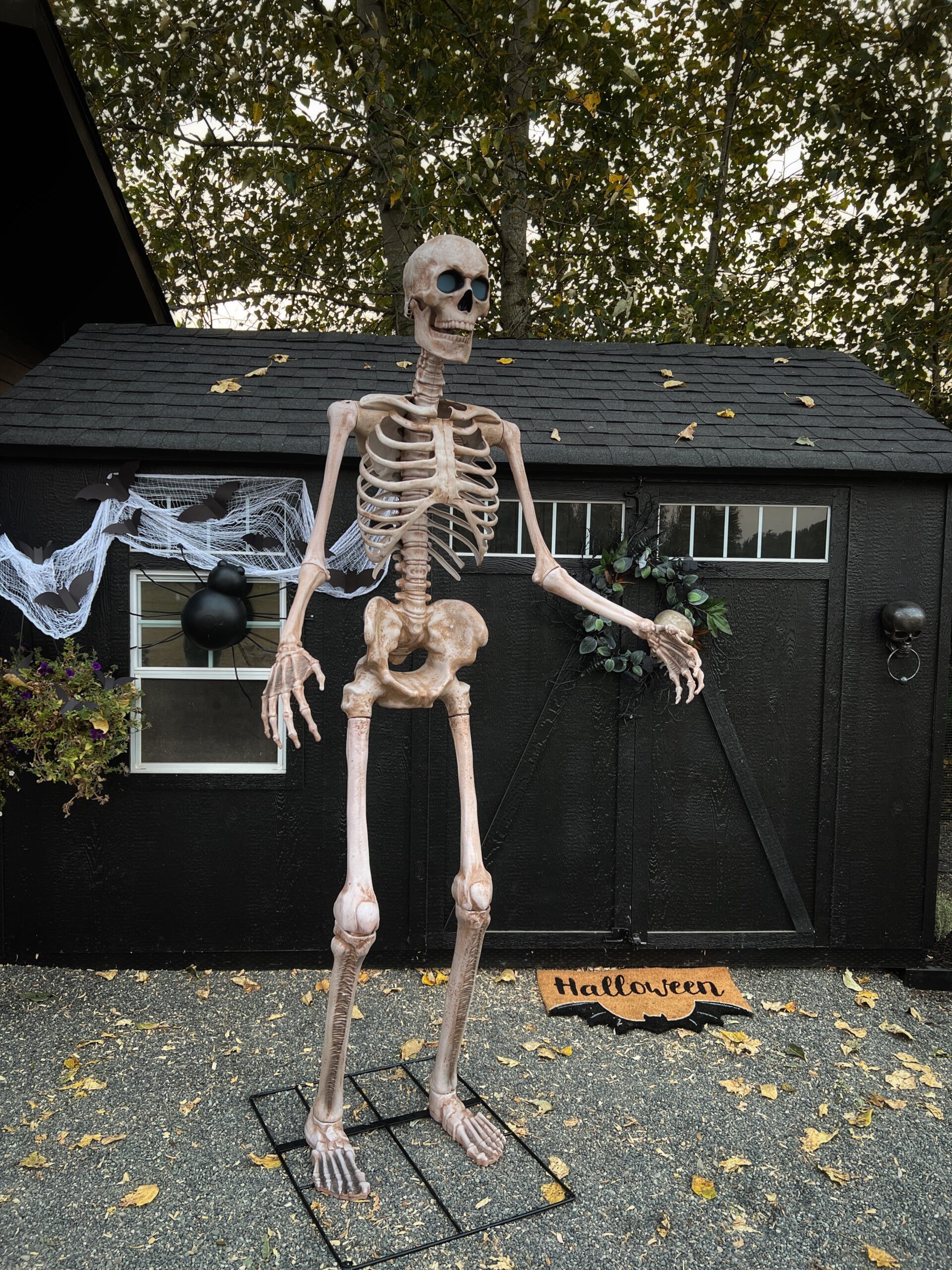 Halloween Chicken Coop - Skeletons & Bats