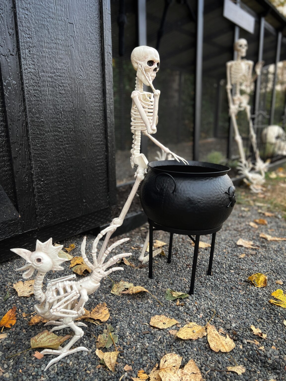 Halloween Chicken Coop - Skeletons & Bats