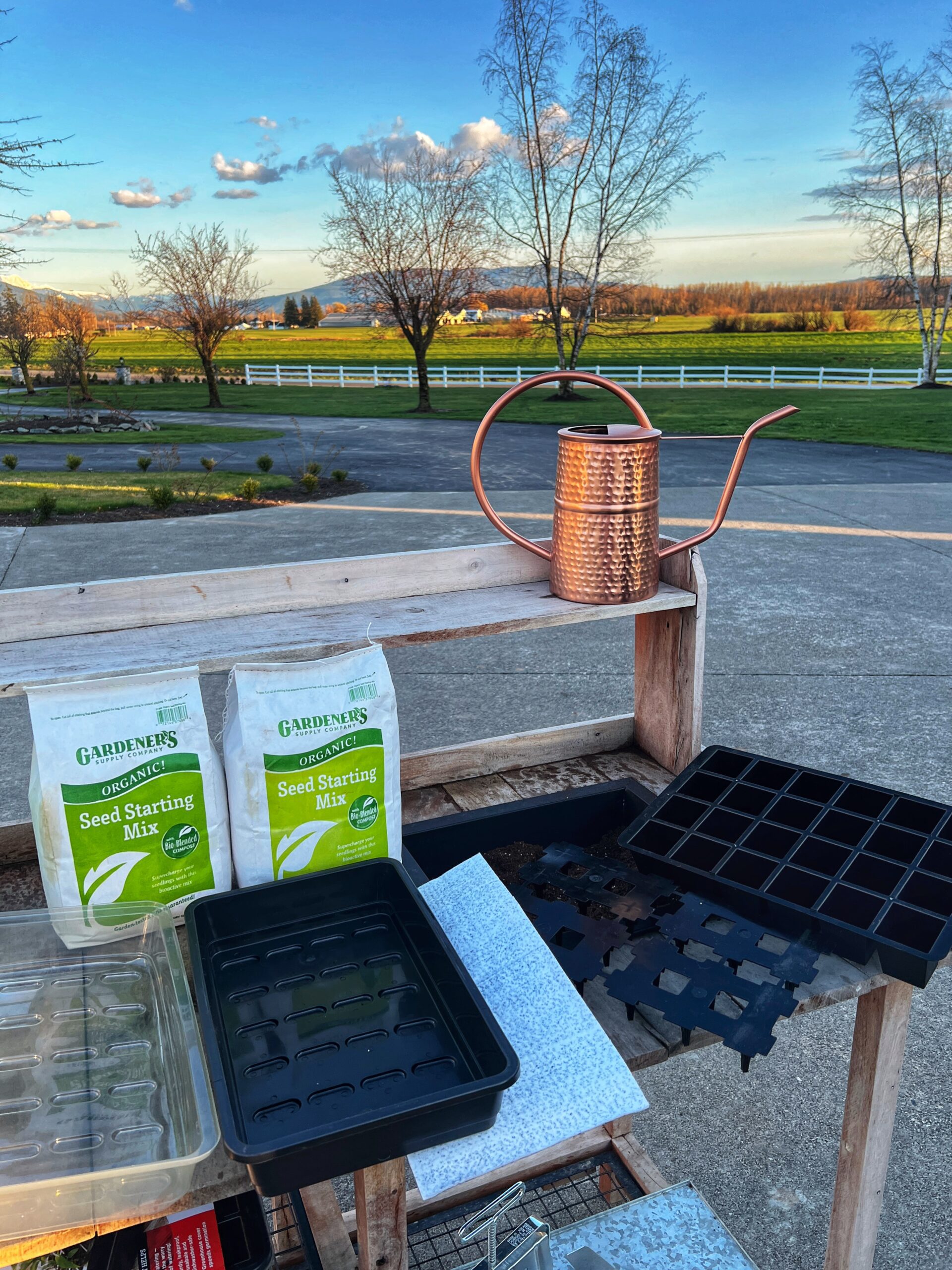 Spring Planting : Seed Starting