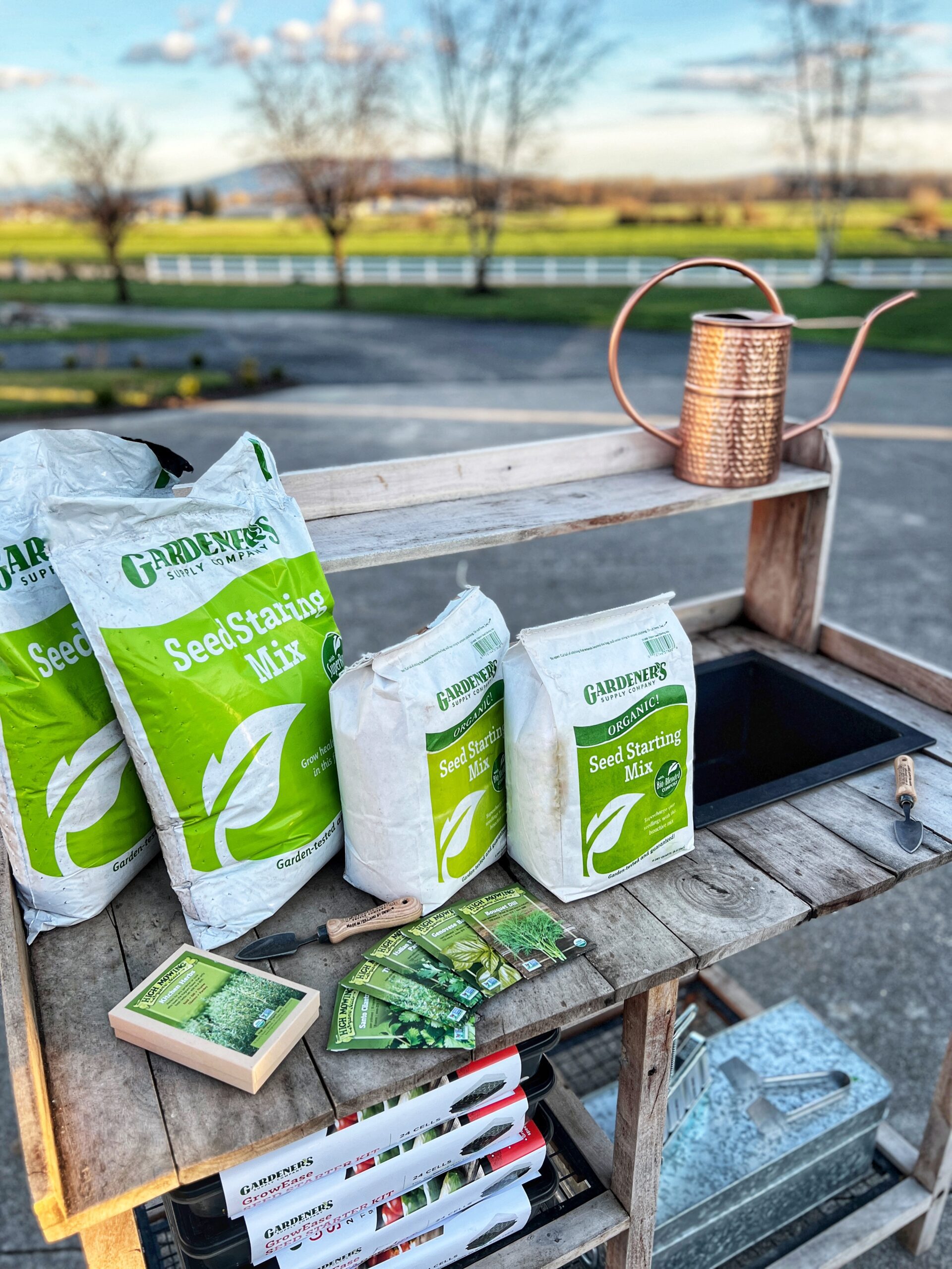 Spring Planting : Seed Starting