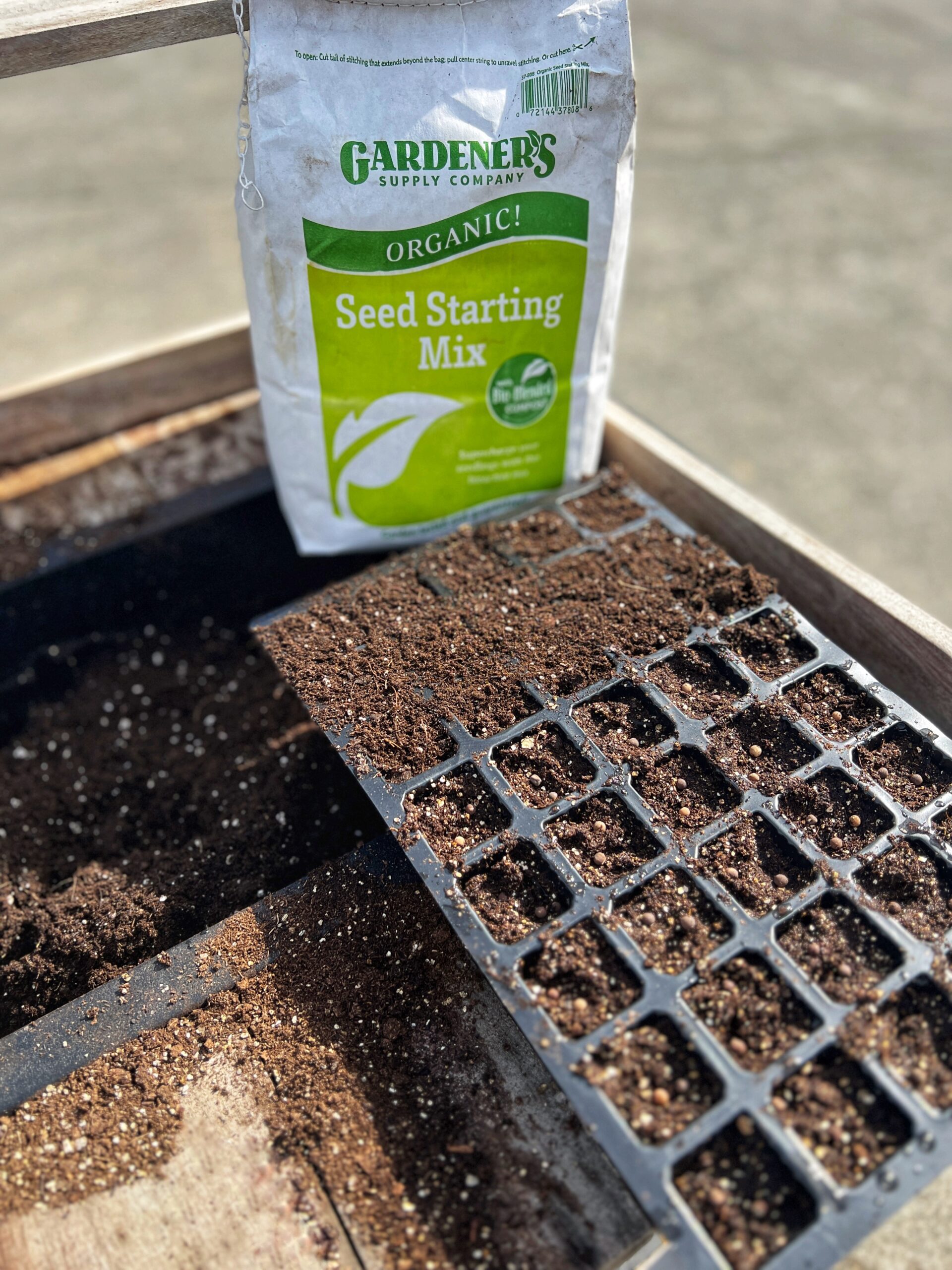 Spring Planting : Seed Starting