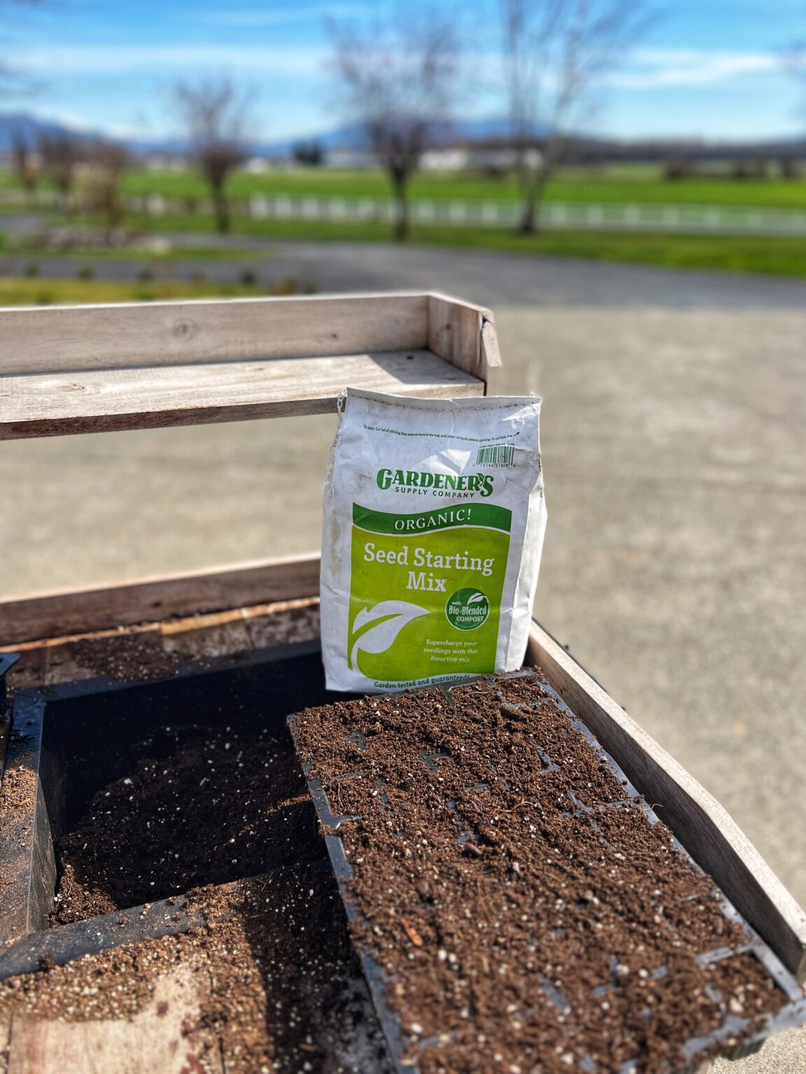 Spring Planting : Seed Starting