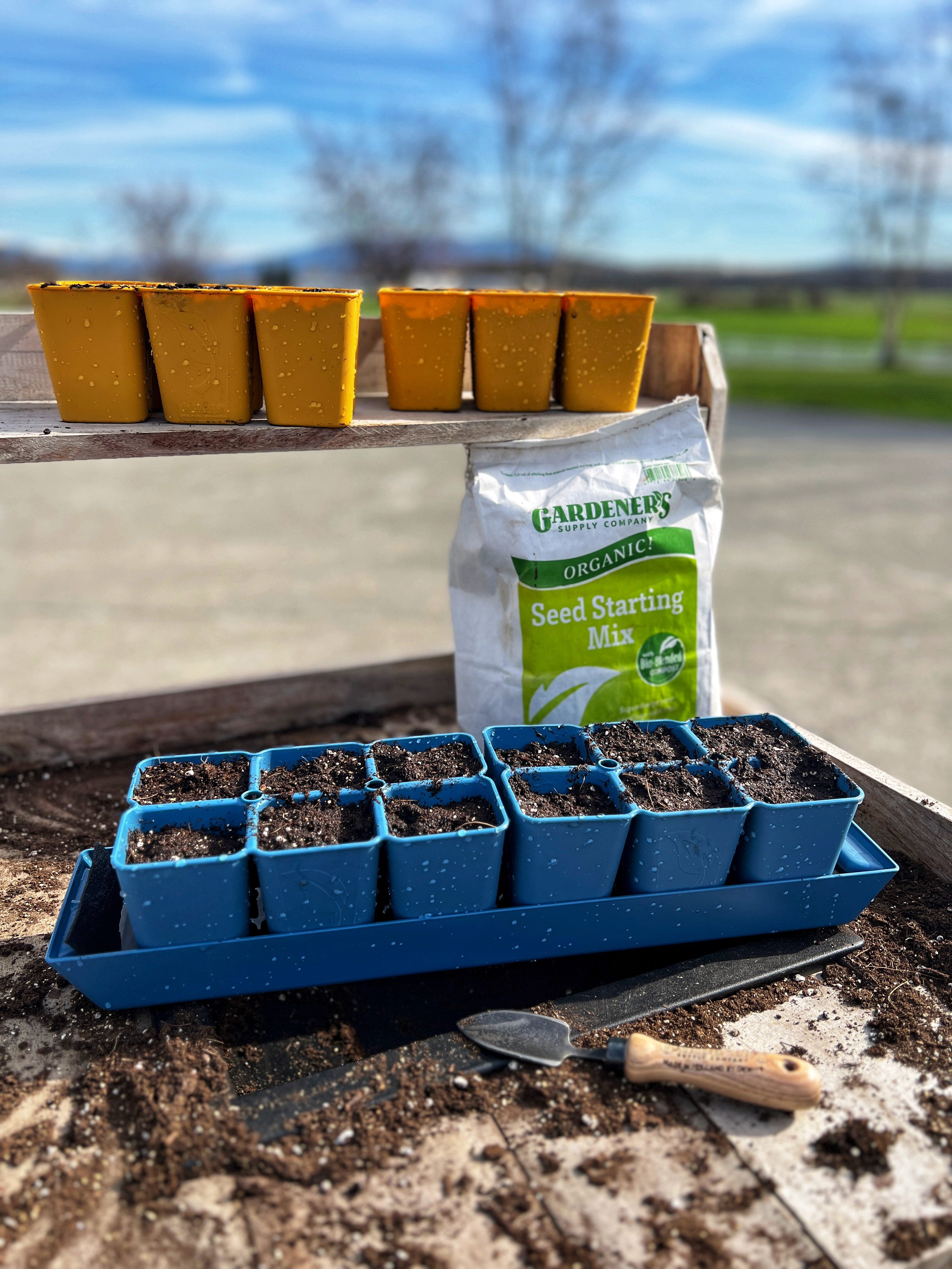 Spring Planting : Seed Starting