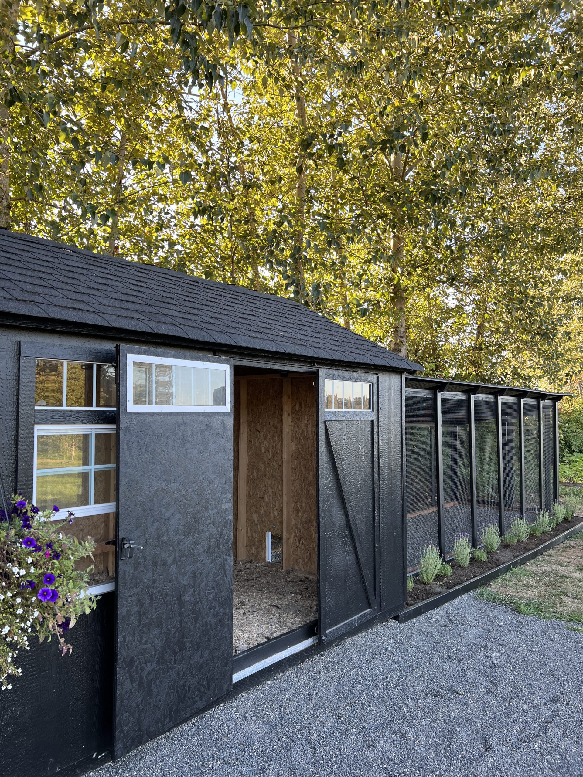 Chicken Coop